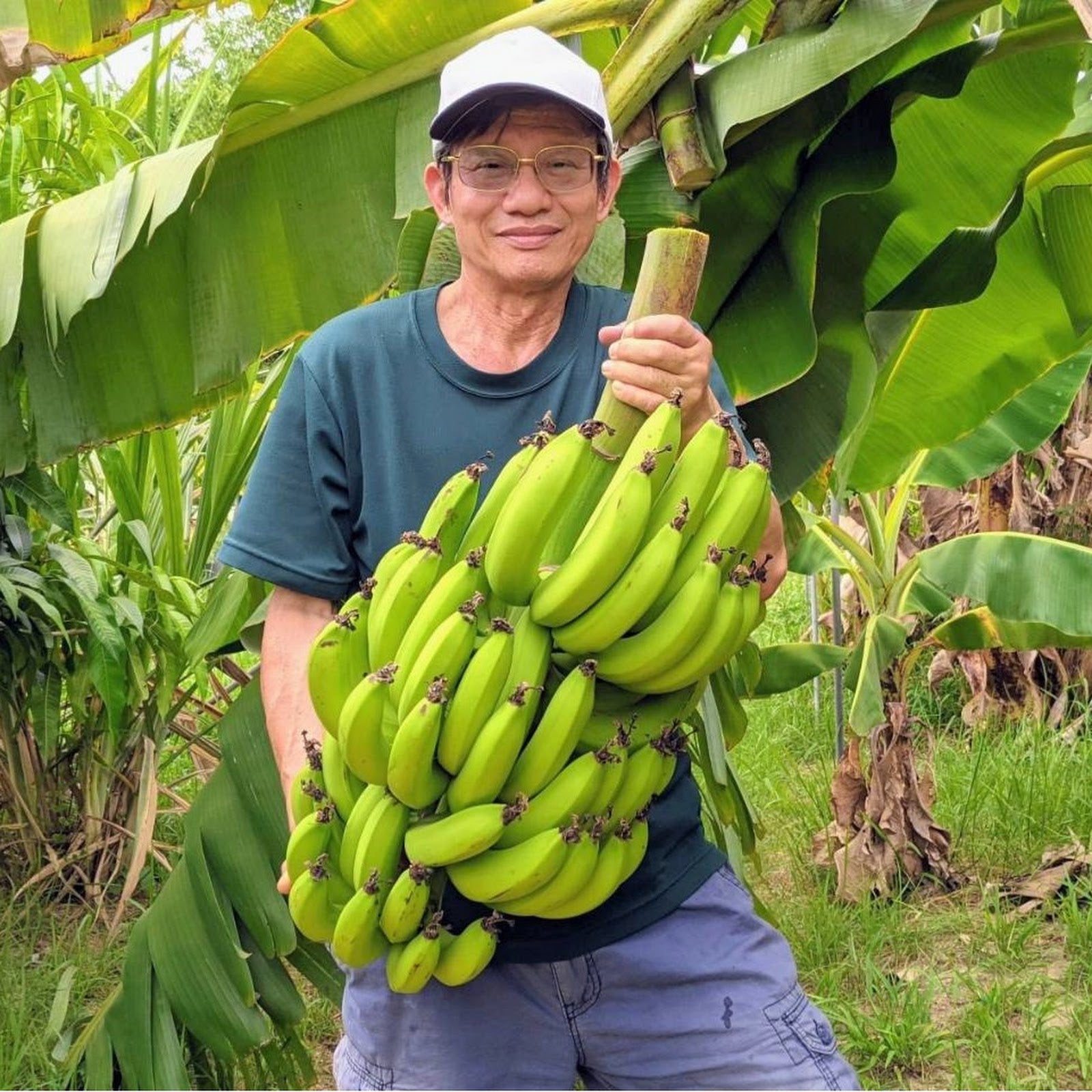 瑞星的一畝田 – PanMART 泛市集