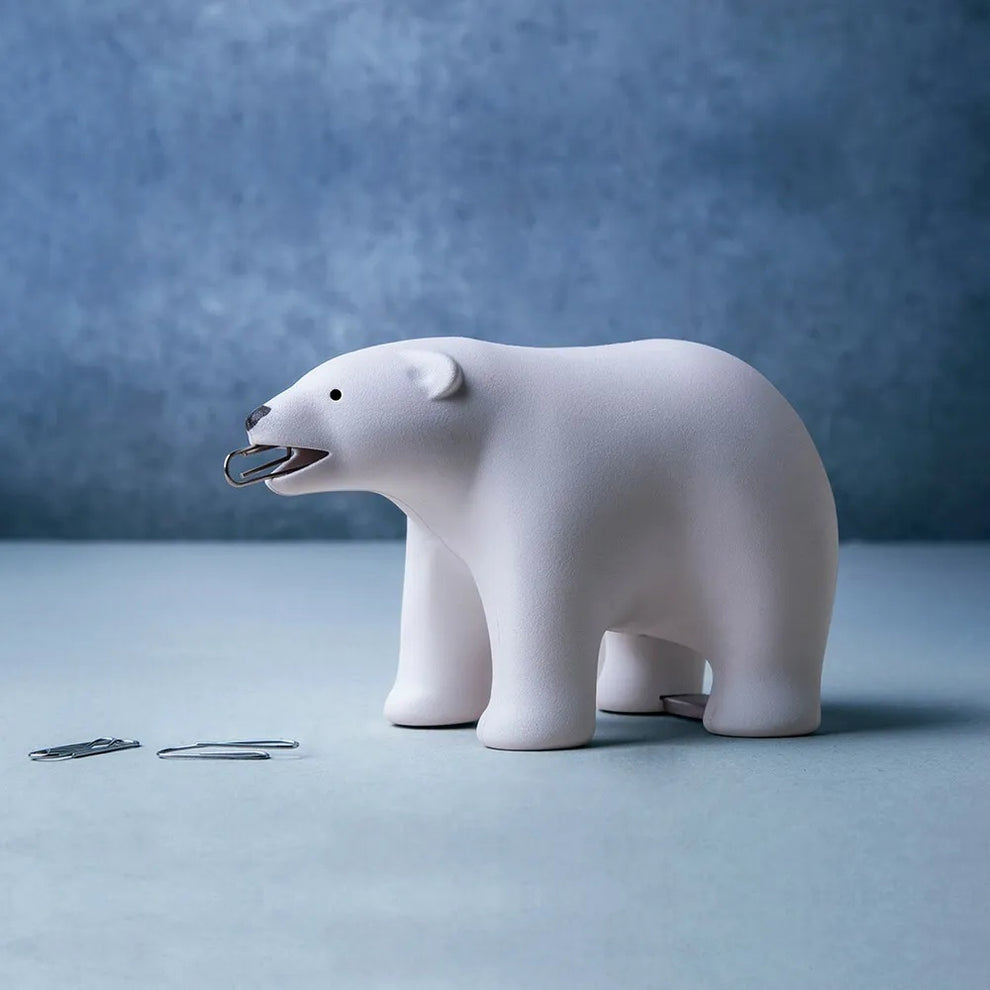 QUALY｜ 大熊出沒膠帶組 – PanMART 泛市集